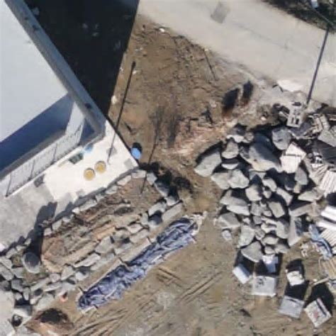 tp class 10 instance segmentation dataset and pre trained model by