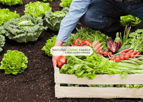 Organic Gardening Archives