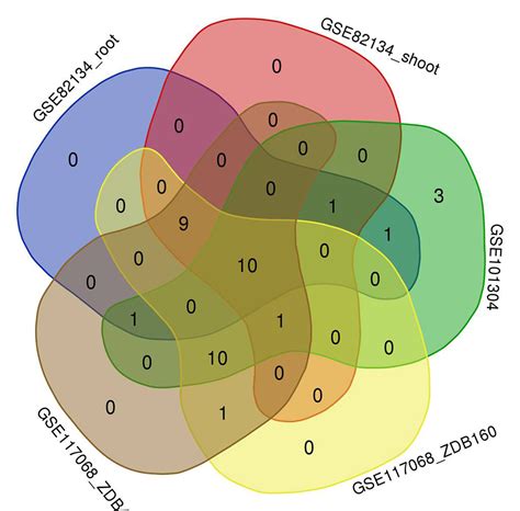 Genome Wide Identification And Expression Profile Analysis Of The Hsp20