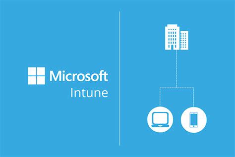 Setup Comprehensive Microsoft Intune And Endpoint Protection By Kashifkashi Fiverr