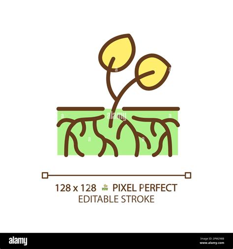 Rooting Plant Cutting Green Rgb Color Icon Stock Vector Image And Art Alamy