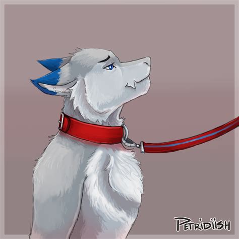 The Big Imageboard Tbib 11 2018 Absurd Res Anthro Bdsm Blue Body