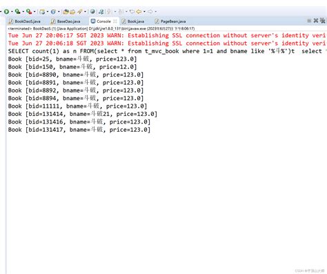 通用分页的详解（java后端常用）java分页工具类 Csdn博客