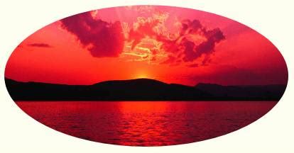 An Overview Of Windows Presentation Foundation