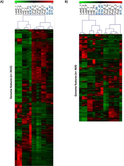 Hierarchical Clustering Expression Of Genes Modulated 15x By