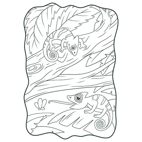Cartoon Illustration zwei Chamäleons auf einem großen Baumstamm Buch