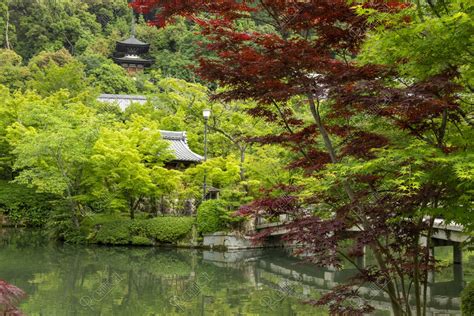 永観堂 庭園 写真 アールクリエーション