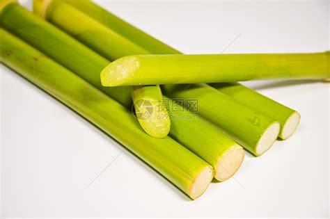 崇明有机甜芦粟高清图片下载 正版图片501688932 摄图网