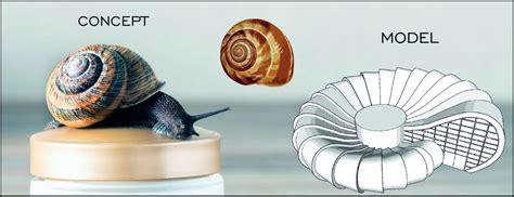 Snail Shell Concept Design For Gulzar Associates