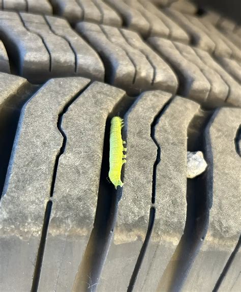 Bc Class 4 License Icbc Bc Driving Blog