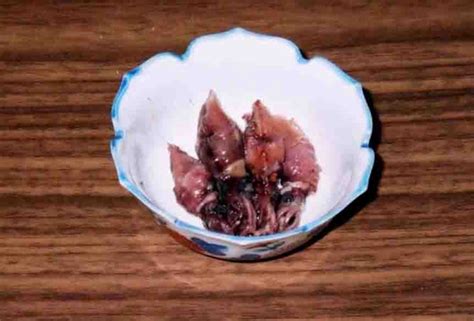 ほたるいかの酢味噌和え 郷土料理資料 郷土料理・特産品（資料） 添付資料 新温泉町