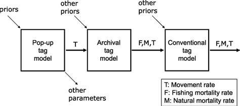 framework of the bayesian sequential approach that was applied in the