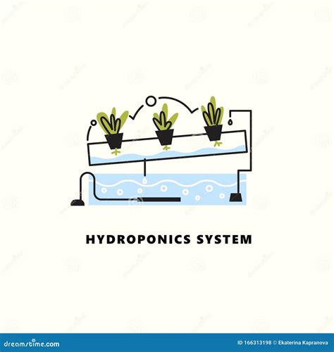 Hydroponics System Poster Vector Illustration 210016044