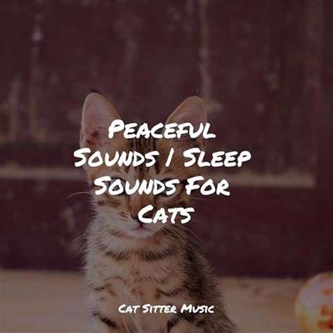 Spiele Peaceful Sounds Sleep Sounds For Cats Von Music For Relaxing