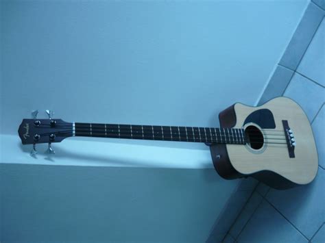Fender