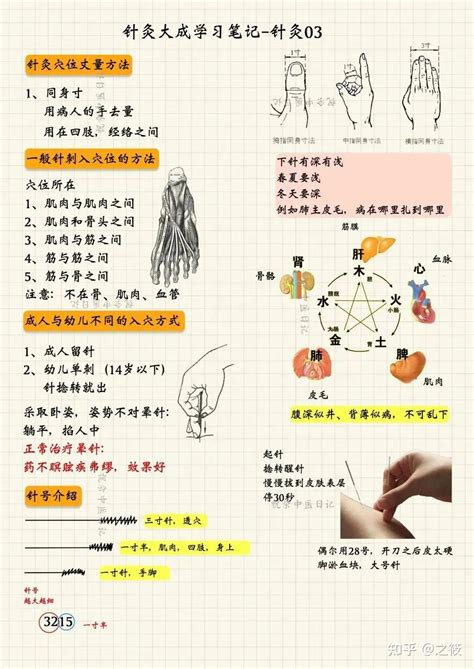 针灸大成笔记倪海厦老师视频整理建议收藏 知乎