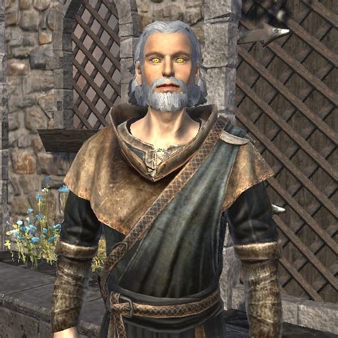 Теодор Горлаш The Elder Scrolls Wiki Fandom