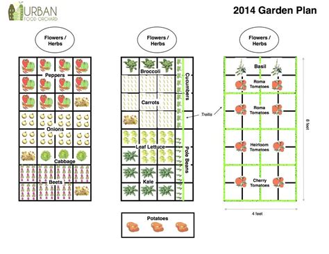 Vegetable Garden Layout Plans And Spacing Australia At Alana Toomey Blog