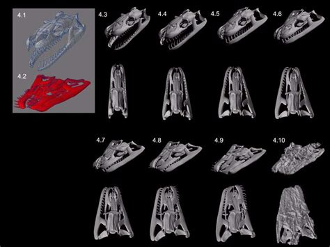 Morphological Model Of Pachyrhachis Problematicus Simulating Effects Of