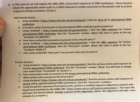 Solved 4 In This Exercise We Will Explore The DNA RNA And Chegg