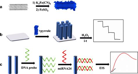 A Schematic Preparation Of Mwcnts Pb Nanocomposites And Illustration Of Download Scientific