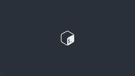 Bash Programming Wallpaper