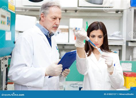 Couple Of Scientists In A Laboratory Stock Image Image Of Concentration Healthcare 41802137