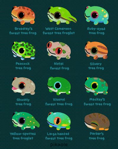 Forest Tree Frog Tumbex