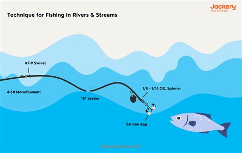 Trout Fishing 101 How To Catch Trout Fish In Australia Jackery Australia