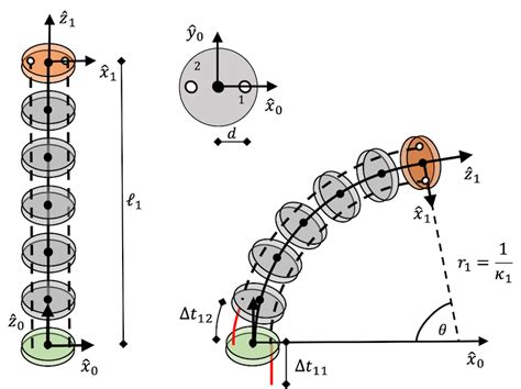 Constant Curvature Model Of Tendon Driven Continuum Robots