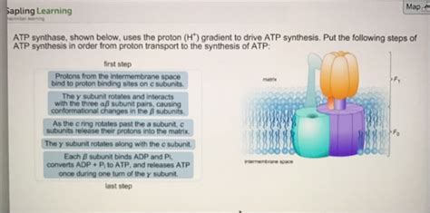 Atp Synthase Steps