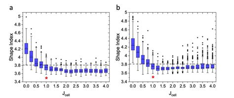 Comparison Of Cell Shapes In Cpm Simulations Final Cell Shapes In A