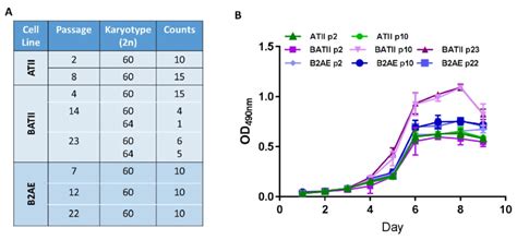 Characterisation Of Cell Lines Using Karyotype And Growth Curve