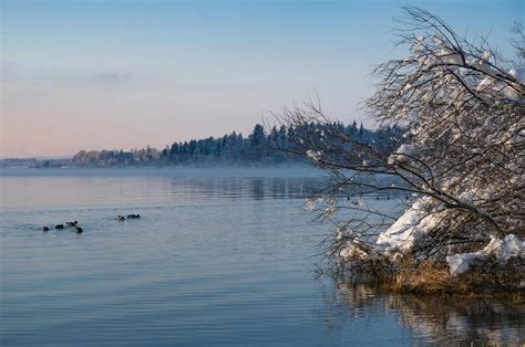 【excel】hex2dec関数の使い方