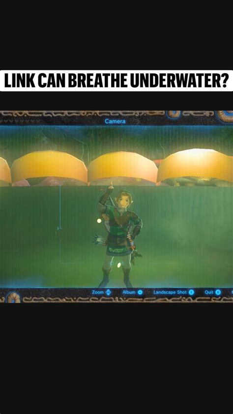 Link Can Breathe Underwater Zelda Funny Zelda Memes Breathing
