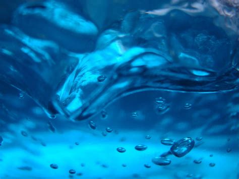 Next Day Backflow Testing