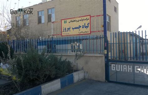 شرکت گیاه چسب پیروز راه های ارتباطی و لوکیشن