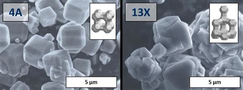 Scanning Electron Micrographs Of Two Common Zeolites Used In This