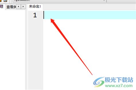 Dev C怎么将光标改成竖线？ Dev C光标变粗了是黑方块改成竖线的方法 极光下载站