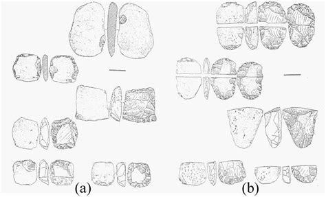 A B A Diagnostic Hoabinhian Tool Types From Vietnam Sumatraliths And