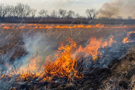 Premium Photo Grassland Fire Spreading With Intense Flames And Smoke