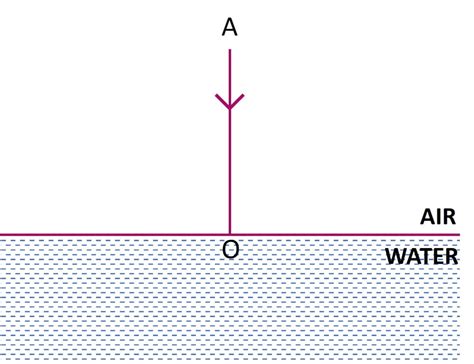 Chapter 5 Light Energy Selina Solutions Concise Physics Class 8 ICSE