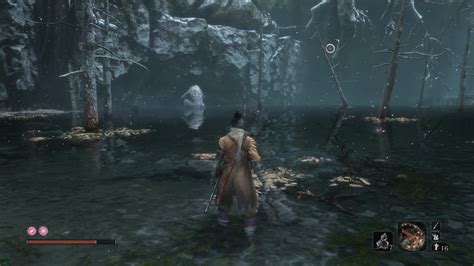 Is This Guy Optional Hes Kicking My Ass Rsekiro