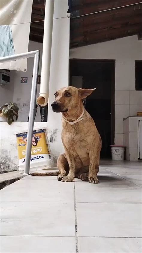 Cara Rnahzinhaa