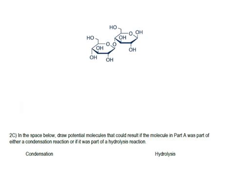 Solved In The Space Below Draw Potential Molecules That