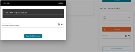 Connecting To Workload Through Ssh Amd Accelerator Cloud Help