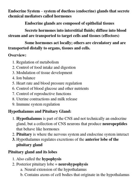 Endocrine System Notes Pdf Pituitary Gland Hypothalamus