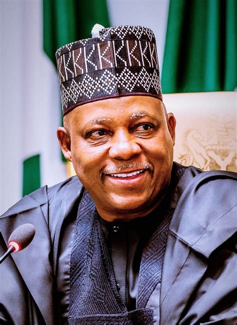 Nigeria Holds Key To Africas Greatness Shettima Blueprint