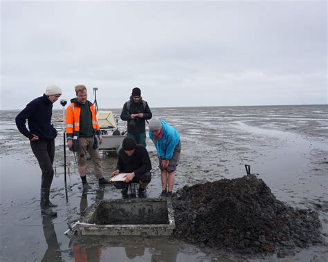 50 Skeletons From The Viking Age Unearthed In Denmark