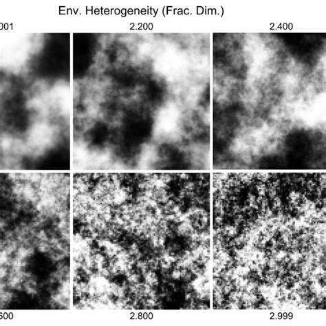 example simulated resource landscapes with different spatial
